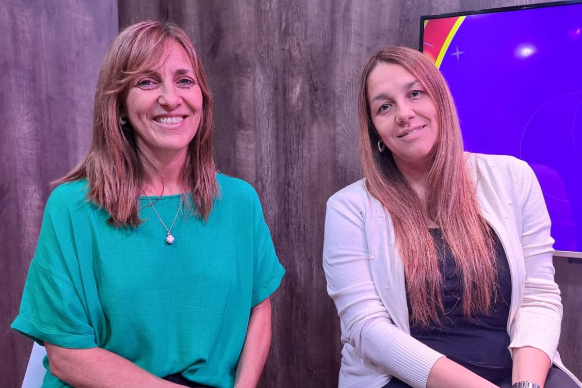 Cierre del 2023: Jornada cultural en Plaza San Martín y entrega de ...