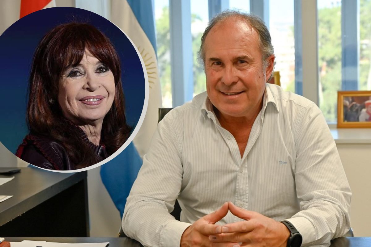 Bottasso, tras la condena a CFK: “Debemos erradicar la idea falaz de ...