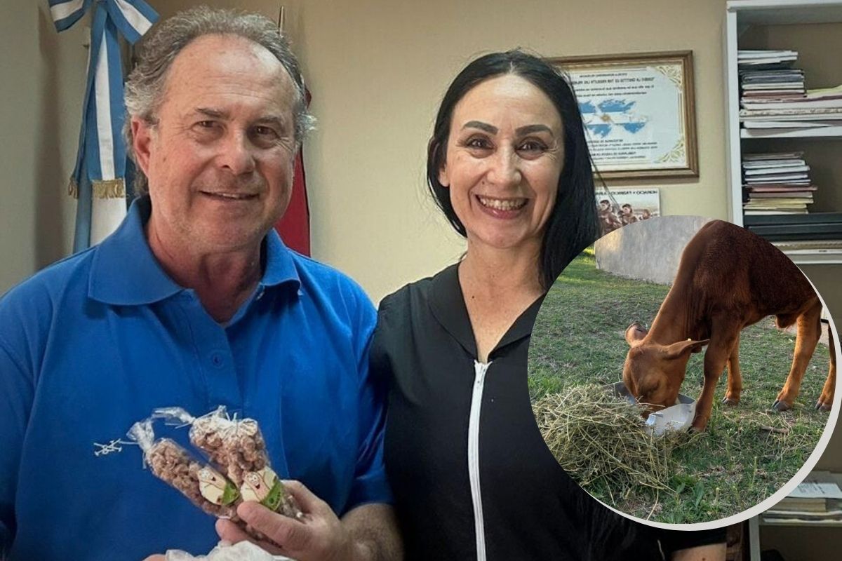 Tras el brutal robo y faena de Berni, el legislador Bottasso donó una ...